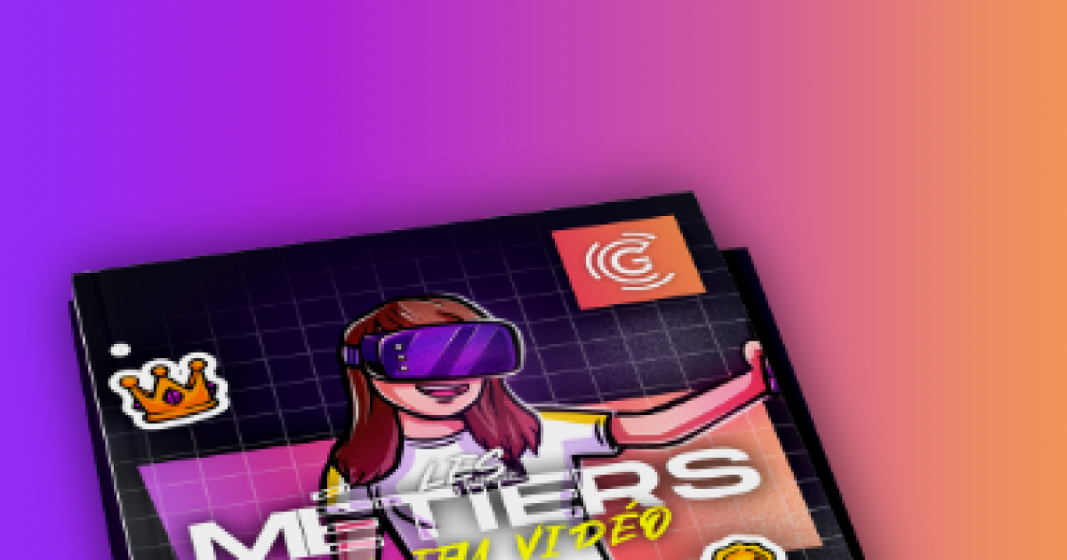 Video game professions: 53 sheets with interviews of video game ...